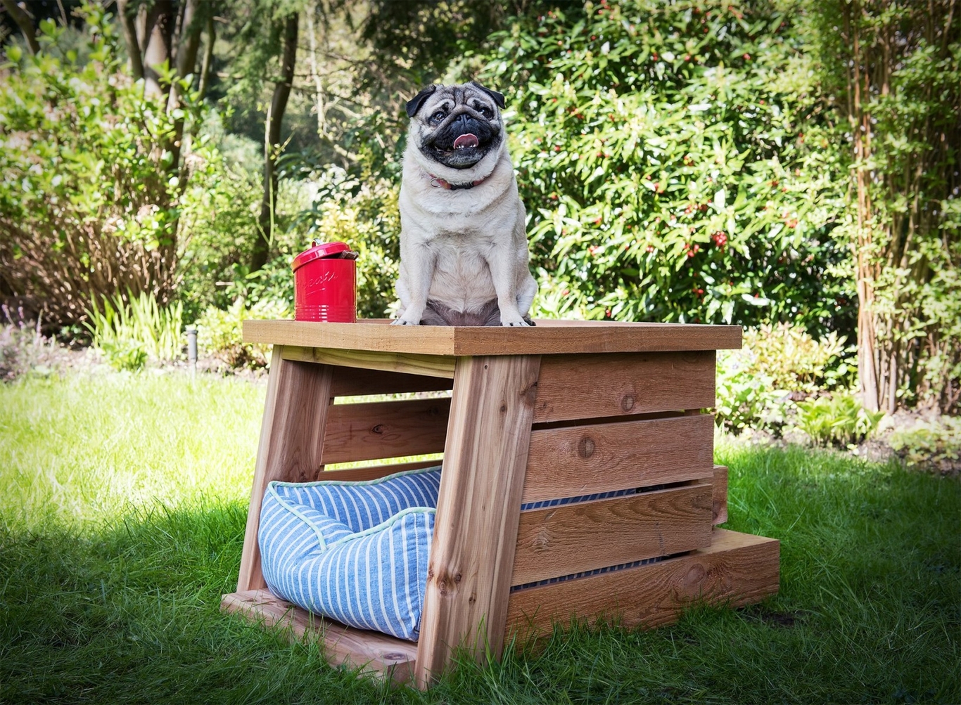 Free Modern Dog House Project Plans DIY Project Plans - Real Cedar